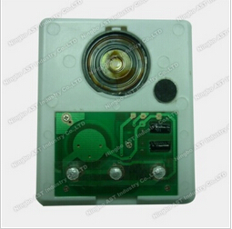 Recordable Sound Module - Integrated Audio Playback Device | Merhein