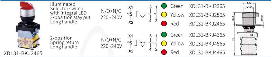 XDL31-BKJ2465 2-Position Selector Switch with Indicator | Merhein